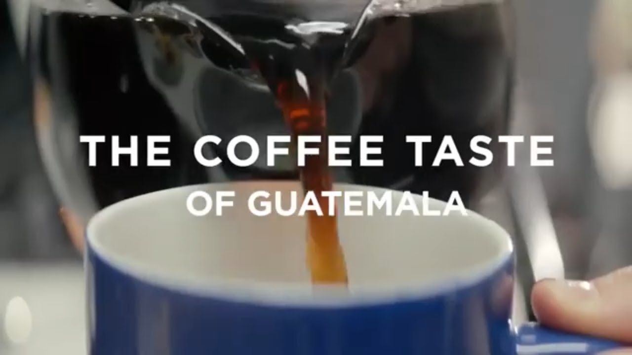 Guatemalan Coffee: Regional Flavor Differences and Best Coffees ...